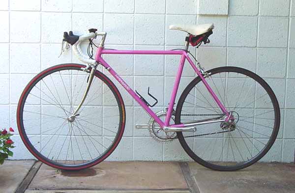 Bike Works NYC Collections-Taliah's Pink road bicycle
